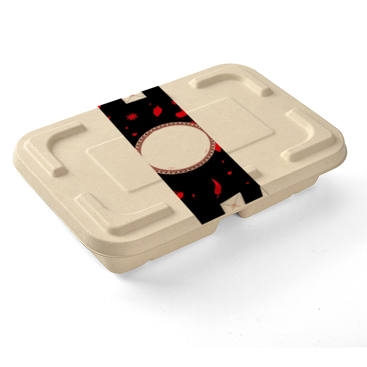 Biodegradable take-out food box with lid