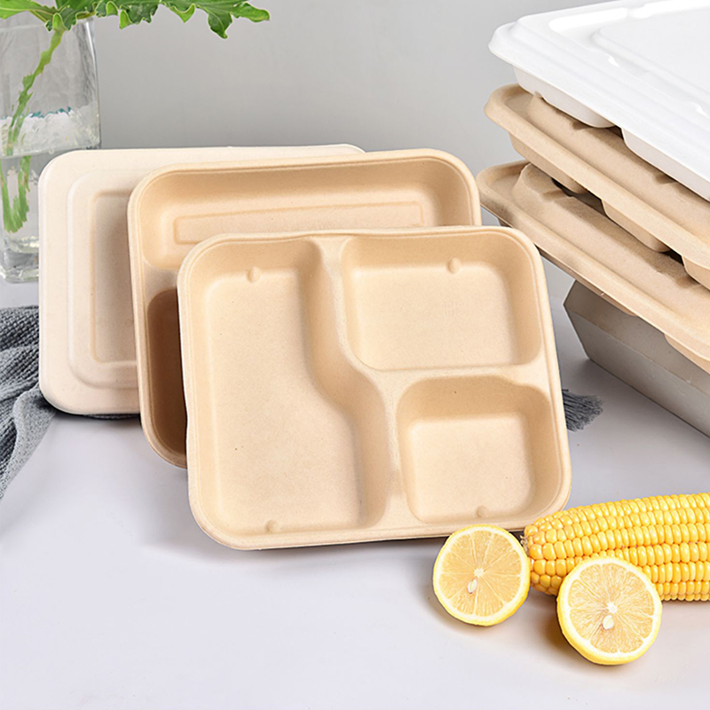 New biodegradable take-out food box